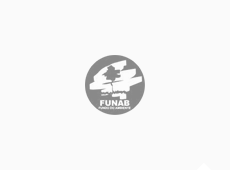 Vagas por FUNAB – Fundo do Ambiente - emprego.co.mz